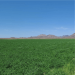 MyLand: Soil Health Programs that Boost Your Bottom Line