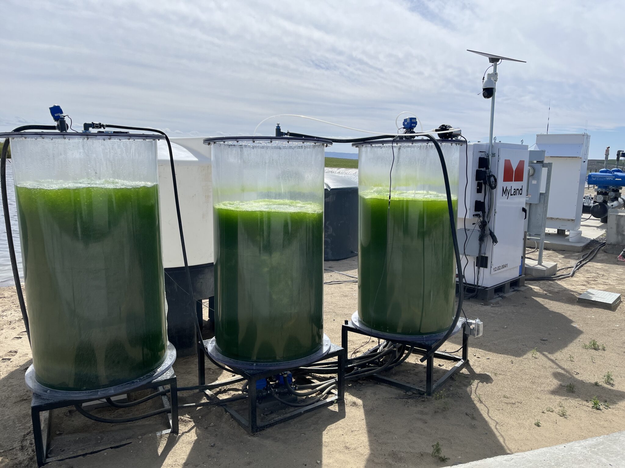 Debunking 9 Myths About Microalgae’s Role in Soil Health | MyLand