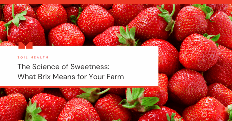 The Science of Sweetness: What Brix Value Reveals About Your Crops | MyLand
