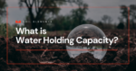 Water Holding Capacity: Why It Matters for Soil Health and Crop Growth ...